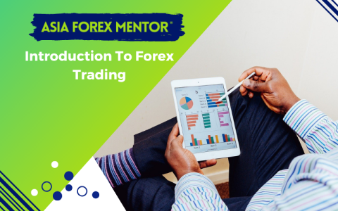 What is Forex Trading and How Does it Work? • Ultimate Guide