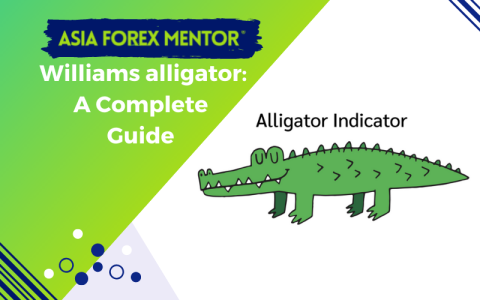 Williams Alligator Indicator | How To Use • Asia Forex Mentor