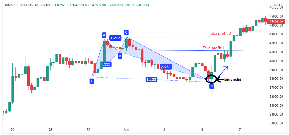 Improve Trading With The Shark Pattern • Asia Forex Mentor