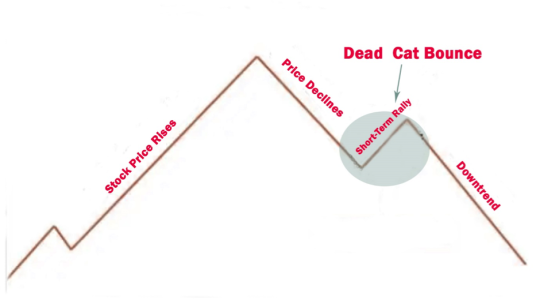How To Recognize The Dead Cat Bounce • Asia Forex Mentor