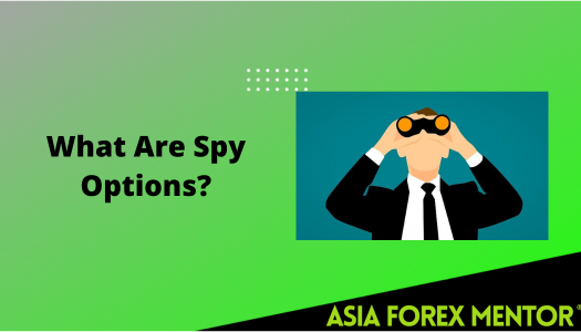 Learn To Trade SPY Options for Profit • Asia Forex Mentor
