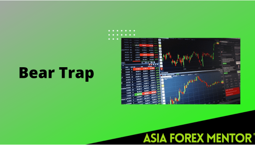 Bear Pennant Pattern • Asia Forex Mentor