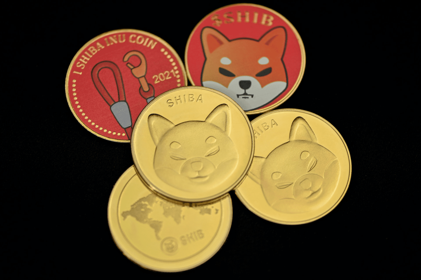 Why Is Shiba Inu Coin Down? Is Shiba Inu dead?•Asia Forex Mentor