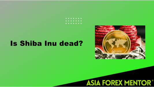 Why Is Shiba Inu Coin Down? Is Shiba Inu dead?•Asia Forex Mentor