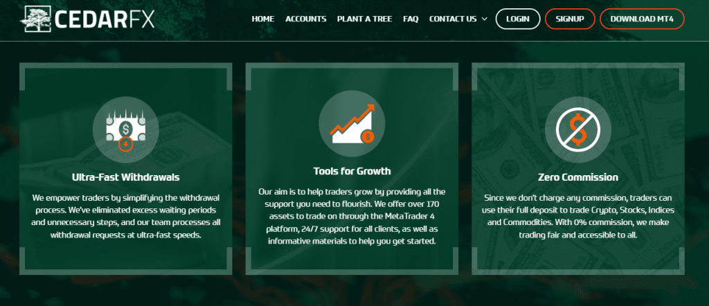 CedarFX Review 2024 - From An Expert Trader • Asia Forex Mentor