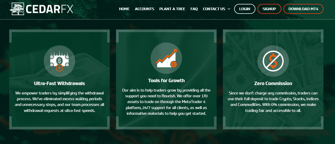 CedarFX Review 2024 - From An Expert Trader • Asia Forex Mentor