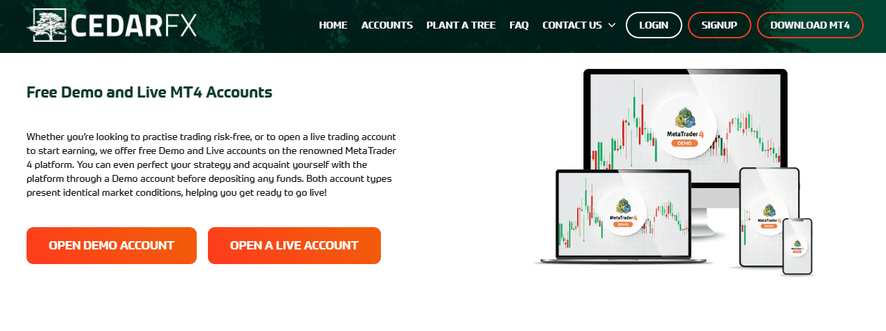 CedarFX Review 2024 - From An Expert Trader • Asia Forex Mentor