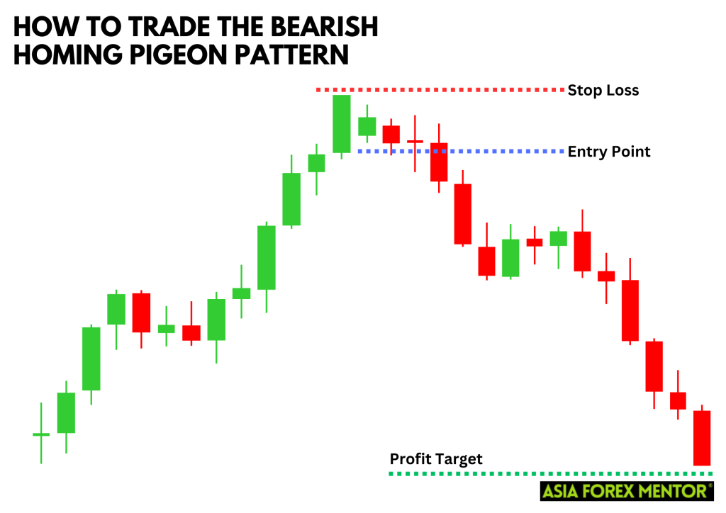 How to Trade the Homing Pigeon Pattern • Asia Forex Mentor