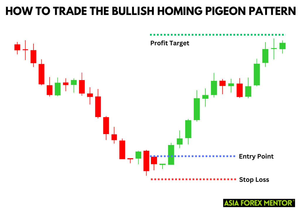 How to Trade the Homing Pigeon Pattern • Asia Forex Mentor