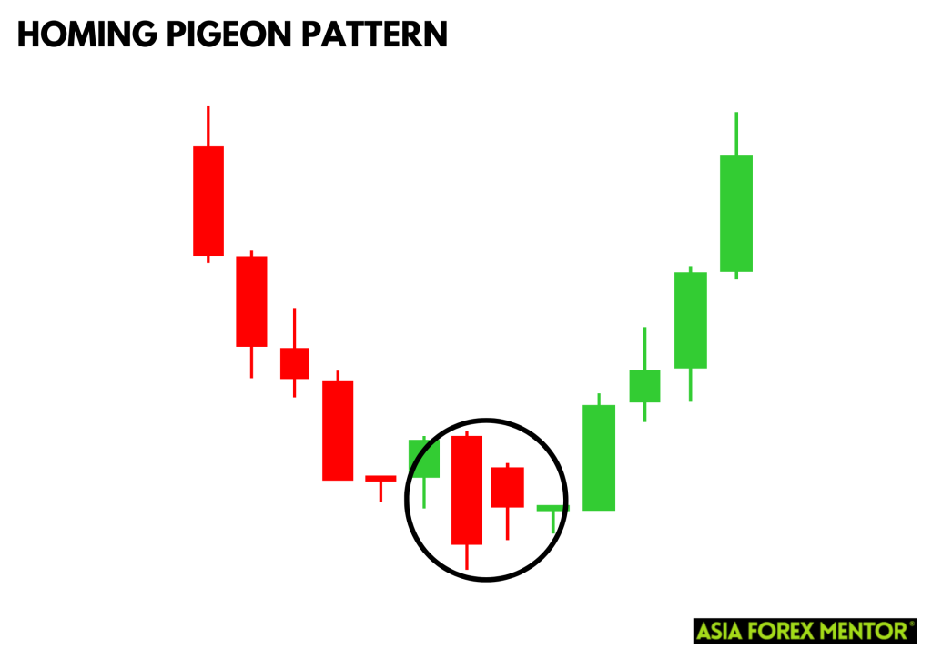 How to Trade the Homing Pigeon Pattern • Asia Forex Mentor