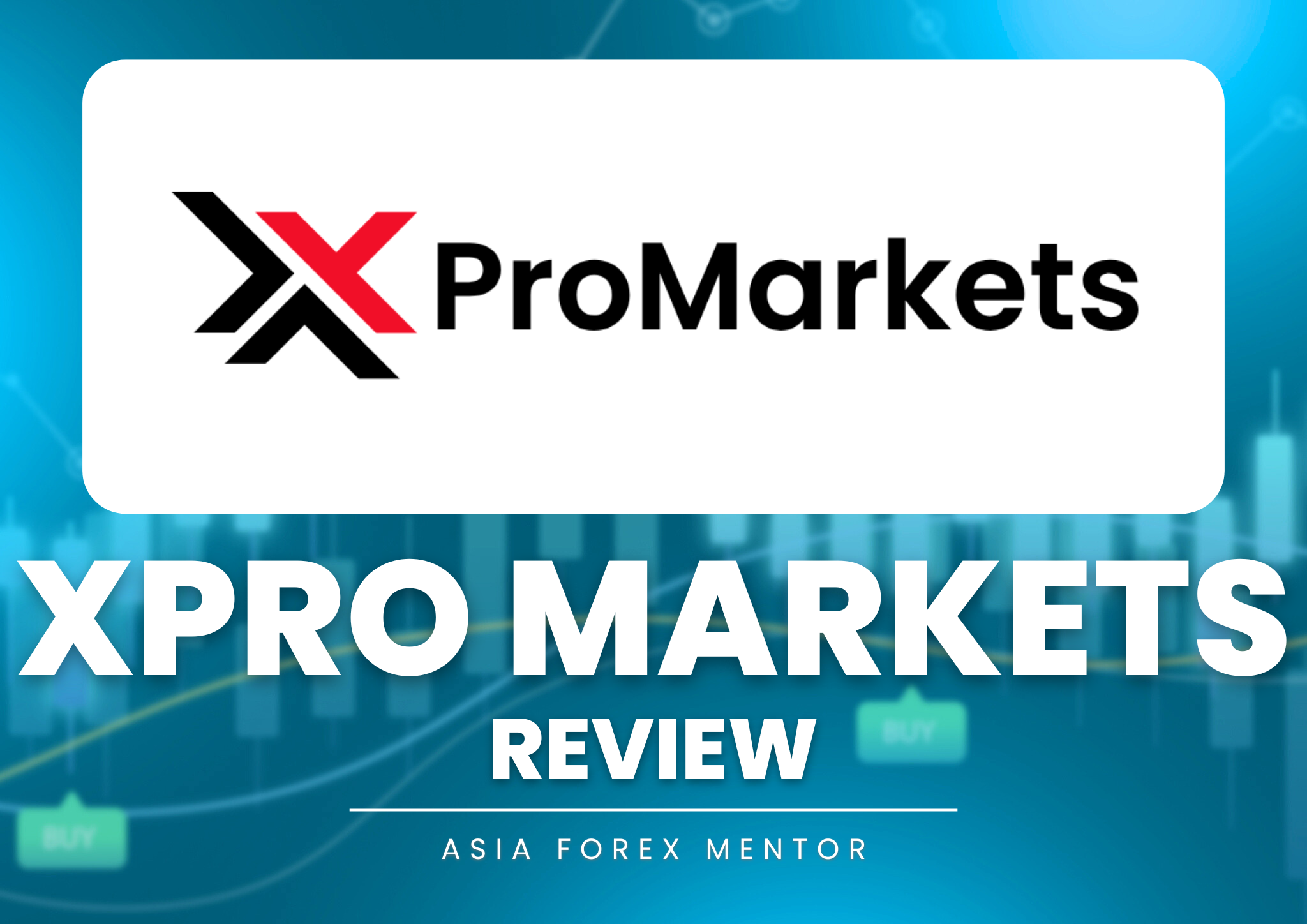 XPro Markets Review 2026 - REAL Traders Report - Learn To Trade Forex ...