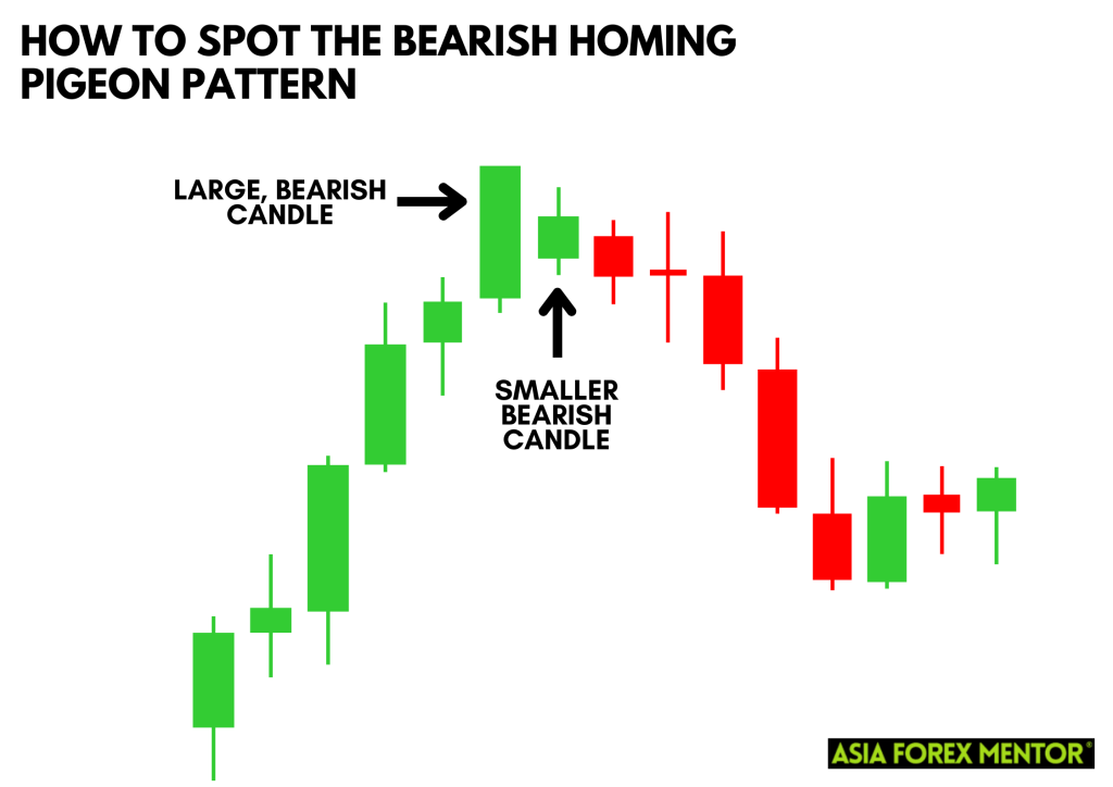 How to Trade the Homing Pigeon Pattern • Asia Forex Mentor