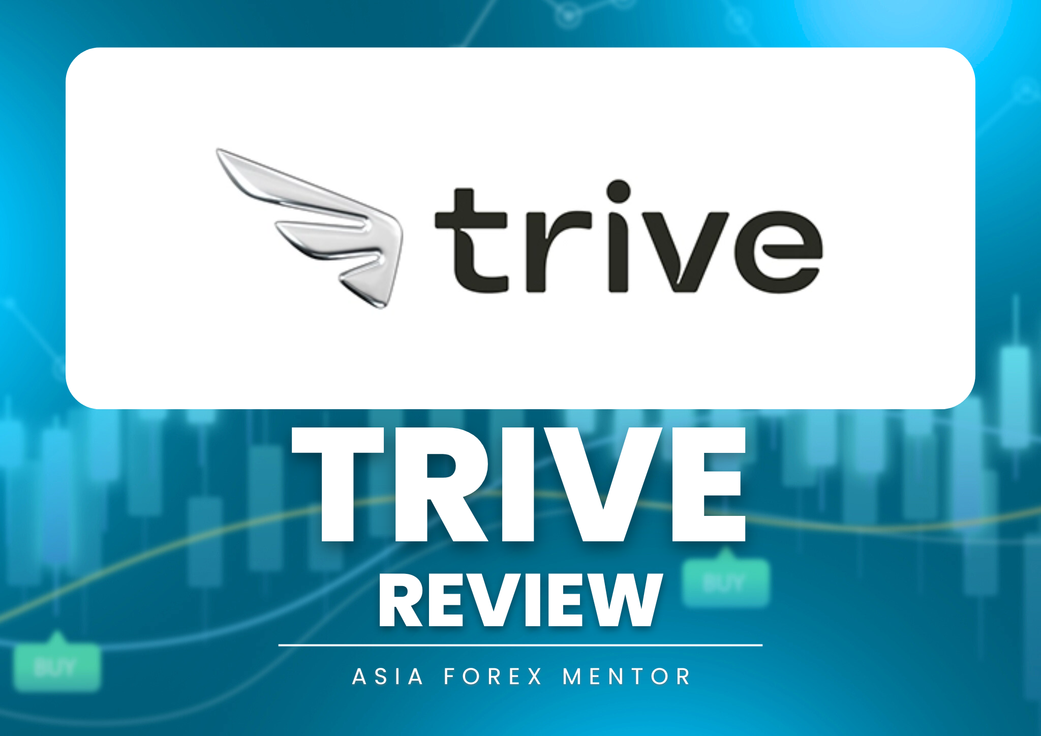 Trive Review 2026 - REAL Traders Report - Learn To Trade Forex • Best ...