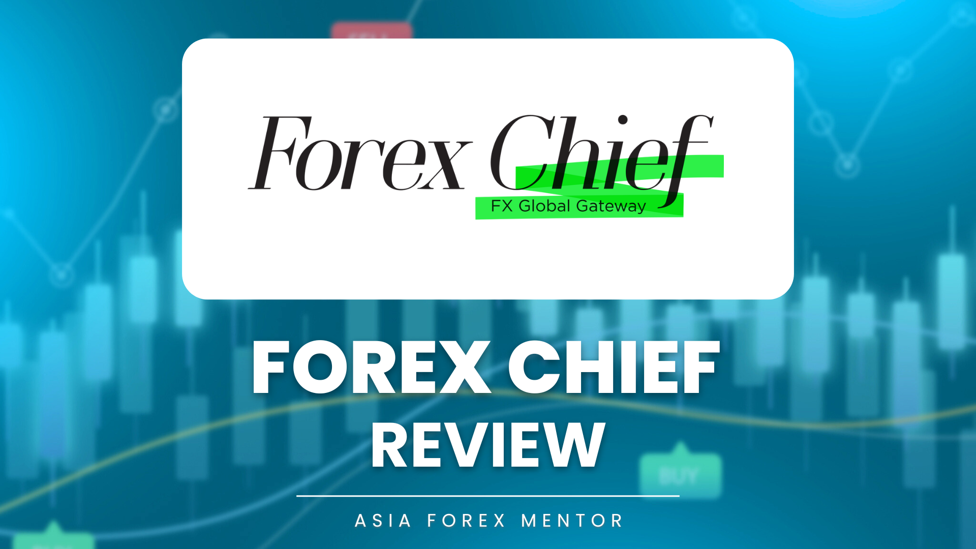 ForexChief Review 2025 - REAL Traders Report - Learn To Trade Forex ...