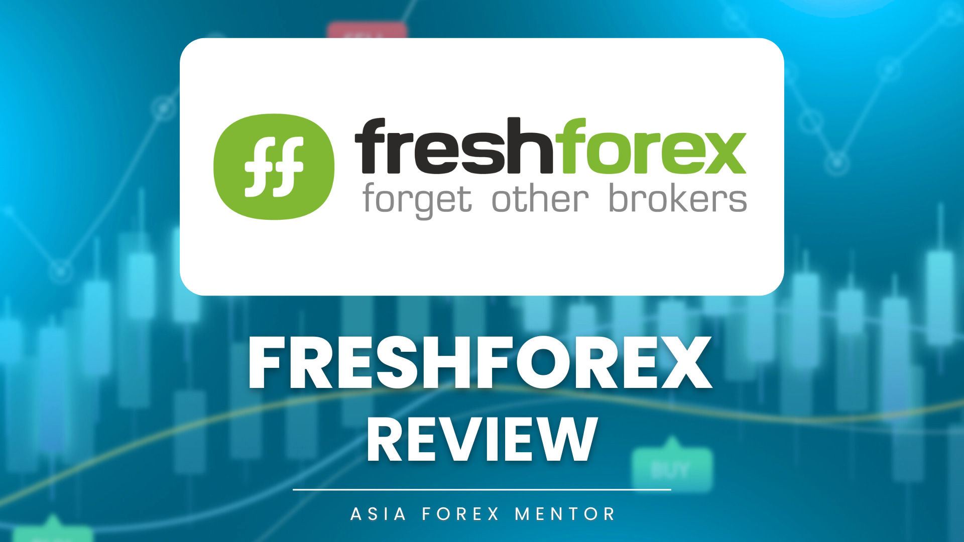 Avatrade Review 2025 - REAL Traders Report - Learn To Trade Forex ...